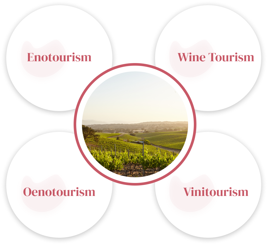 Enotourism meaning: Wine Tourism, Vinitourism or Oenoturism? – Meeting Wine