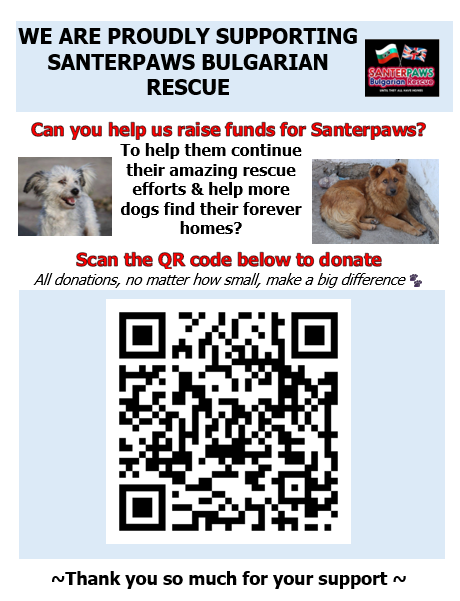 Home • Santerpaws Bulgarian Rescue