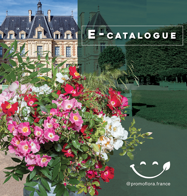 - Promoflora